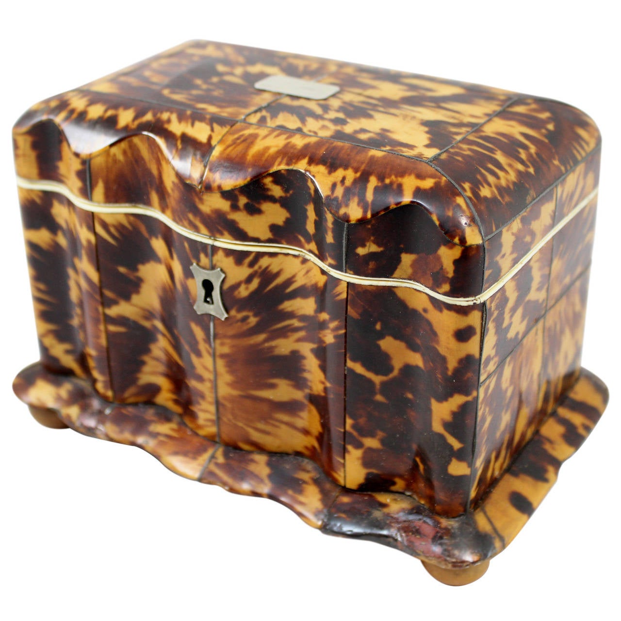 Early 19th Century English Regency Tea Caddy at 1stDibs