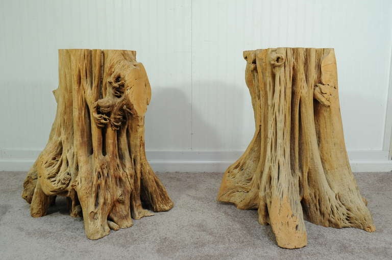 Naturalistic Free Form Japanese Cypress Tree Root Glass Top Dining ...