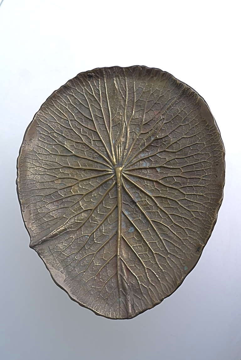 Organic Fine Art Object, bronze Lotus Leaf On A Stalk at 1stDibs