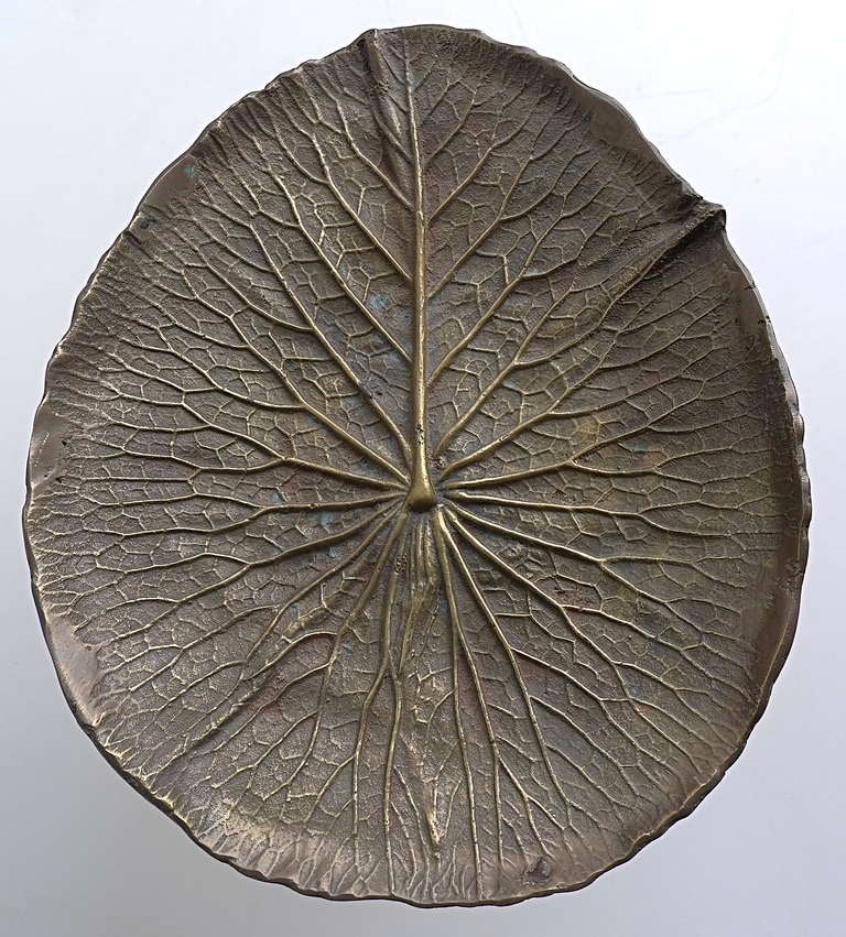 Organic Fine Art Object, bronze Lotus Leaf On A Stalk at 1stDibs