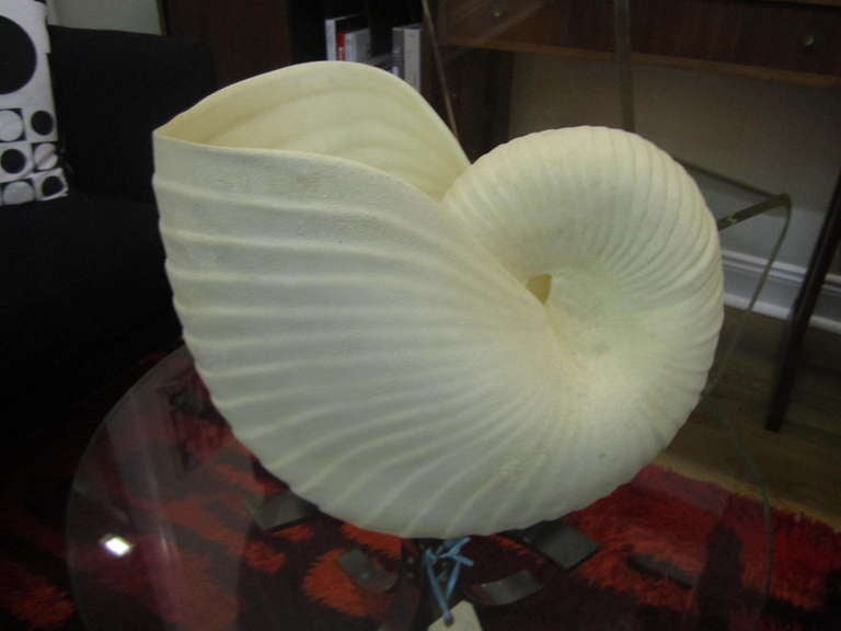 Outrageous Large Sea Shell Cache Flower Pot Regency Mid-century Modern ...