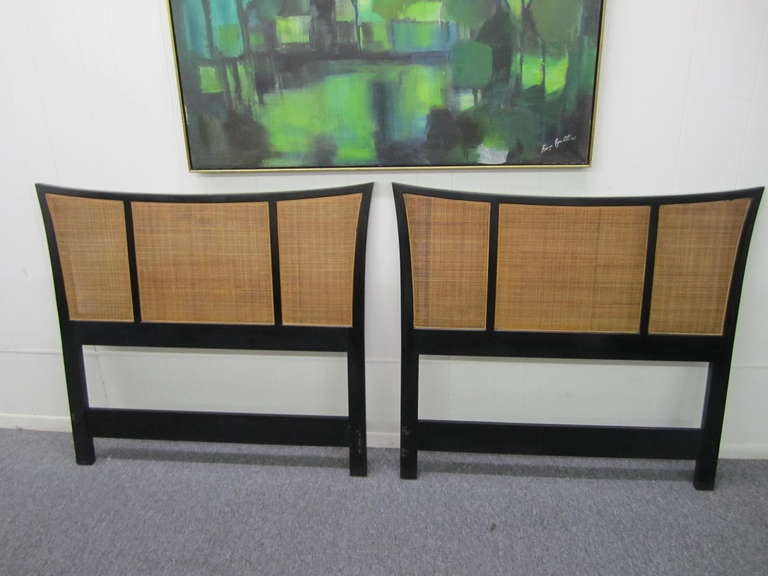 Wonderful Pair Chinoiserie Caned and Ebonized Harvey Probber Twin ...