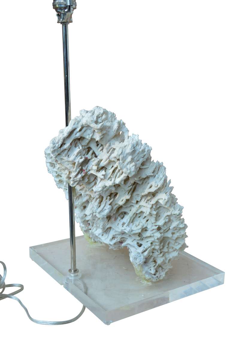 Coral Lamp on Lucite Base at 1stDibs