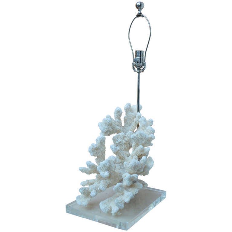 Coral Lamp on Lucite Base at 1stDibs