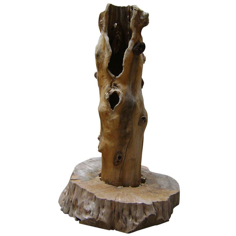 Life Size Olive Tree Trunk Sculpture at 1stDibs