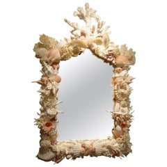 Gorgeous Seashell and Coral Mirror at 1stDibs
