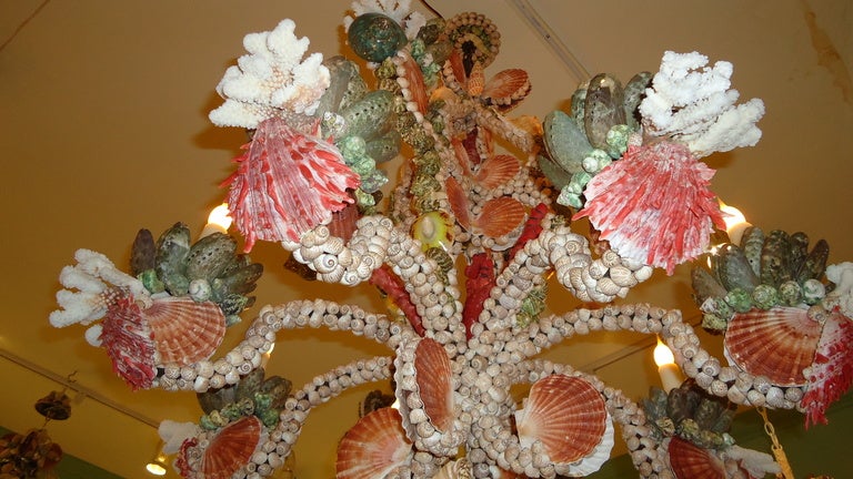 Fantastic Seashell Chandelier at 1stDibs