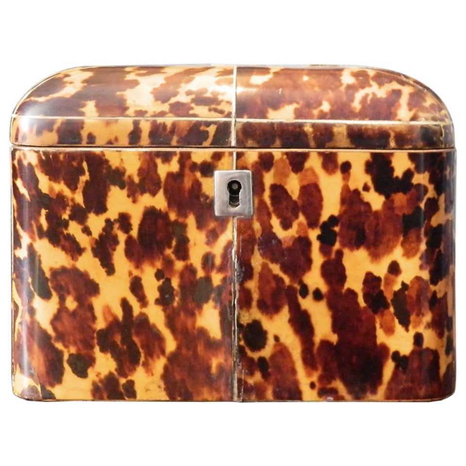 European Tortoiseshell Tea Caddy, circa 1860 at 1stDibs