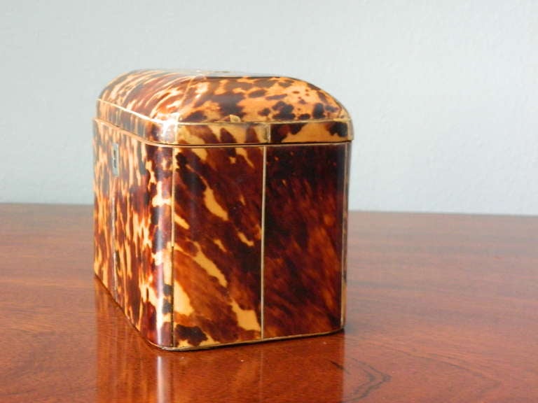 European Tortoiseshell Tea Caddy, circa 1860 at 1stDibs