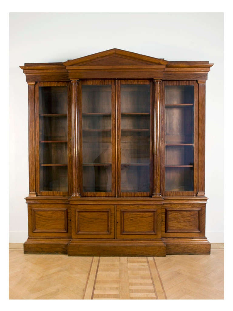 William Iv Mahogany Lreakfront Library Case For Sale at 1stDibs