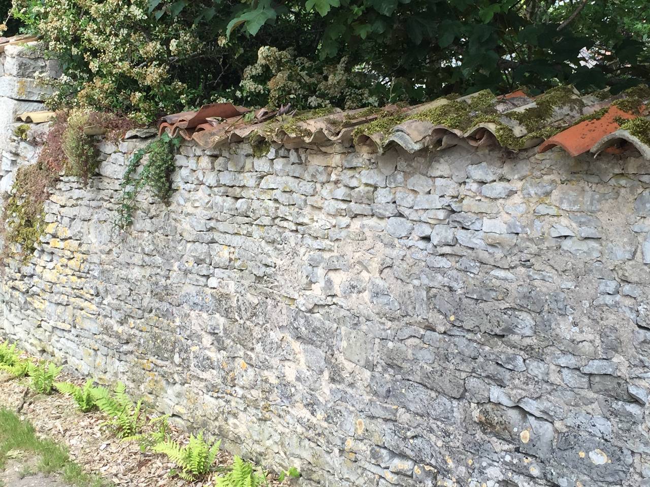 French Antique Wall Surround in Limestone, 17th-18th Century, France at ...