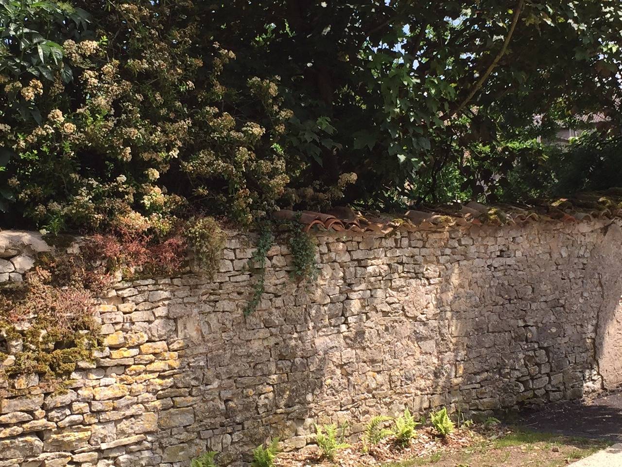 French Antique Wall Surround in Limestone, 17th-18th Century, France at ...