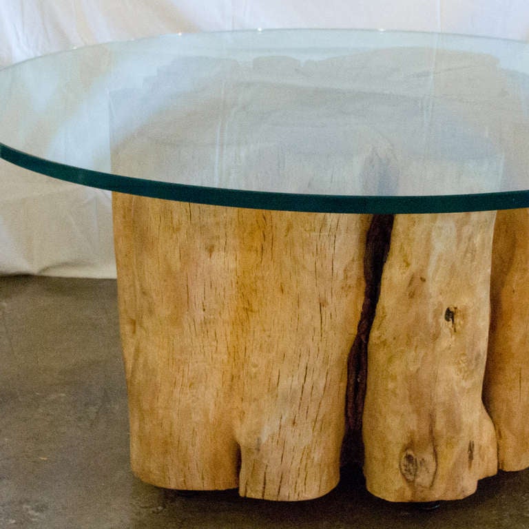 A Full Trunk Base Glass Top Coffee Table at 1stDibs