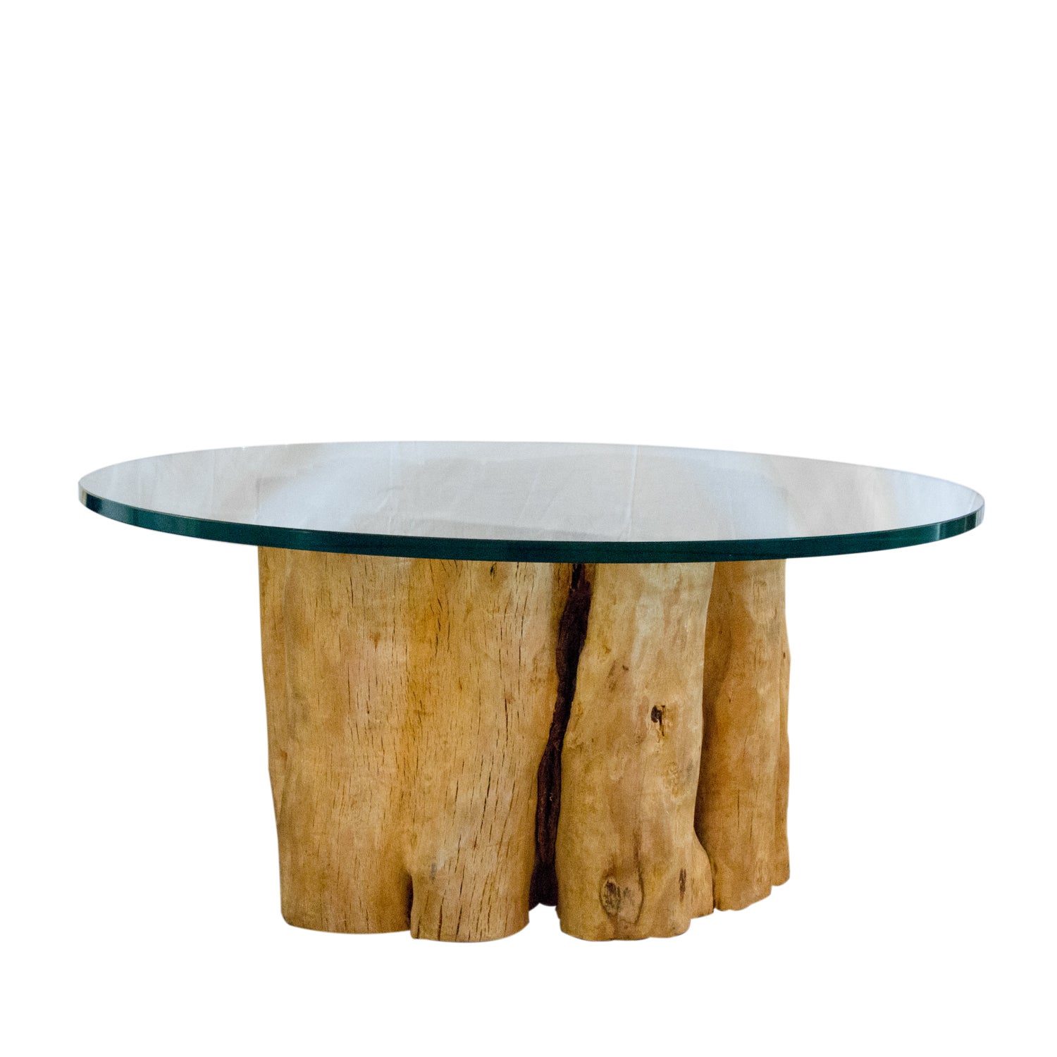 A Full Trunk Base Glass Top Coffee Table at 1stDibs