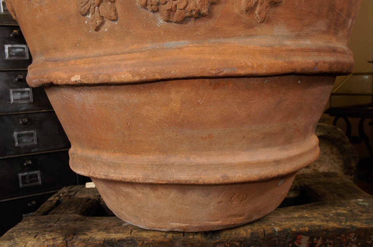 Massive Pair Impruneta Pots, Italy, Lemon Trees, 46 Inches Wide at 1stDibs