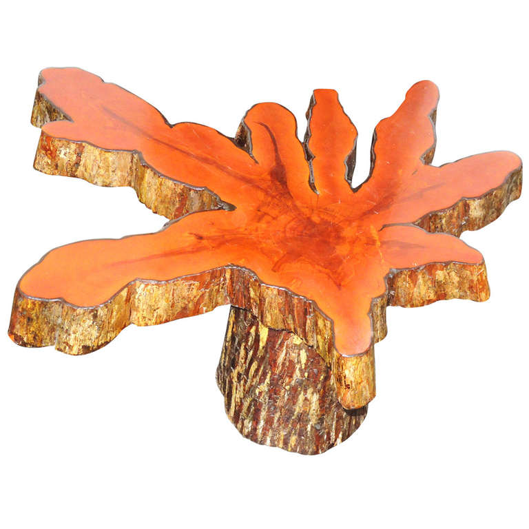 Tree Trunk Coffee Table at 1stDibs