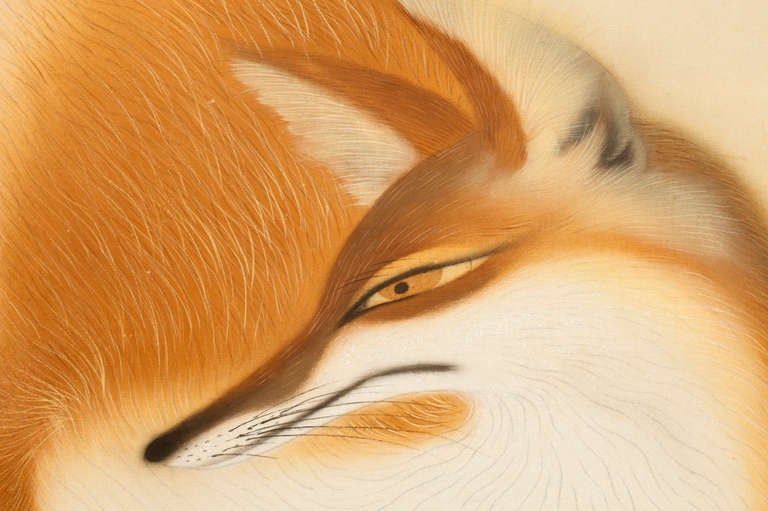 Fox Painting by Katayama Bokuyo For Sale at 1stDibs | bokuyo katayama