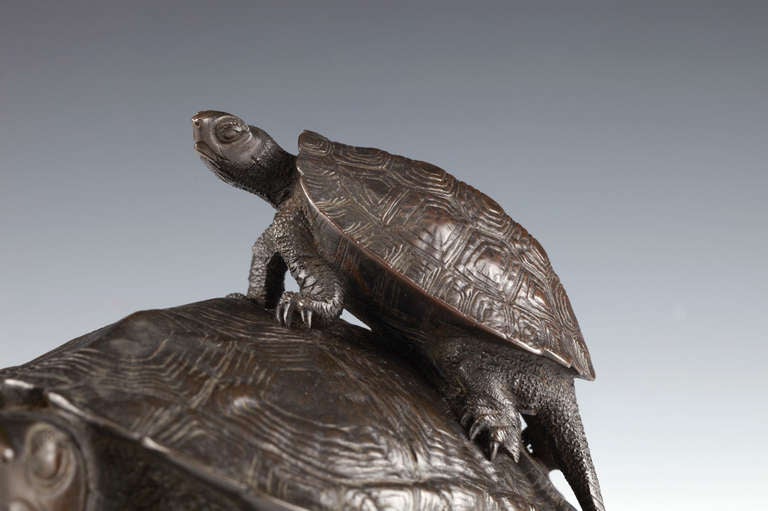 Meiji Era Bronze Tortoise Sculpture For Sale at 1stDibs