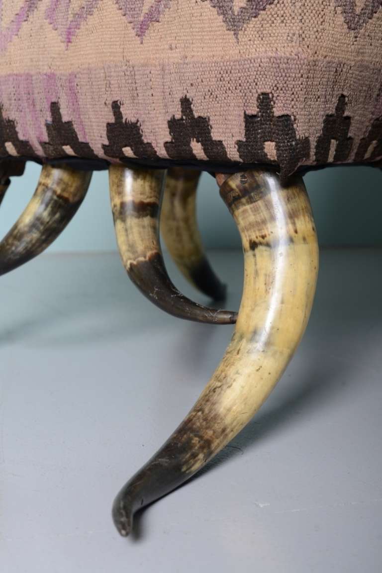 Original English Antique Cow Horn Chair. at 1stDibs