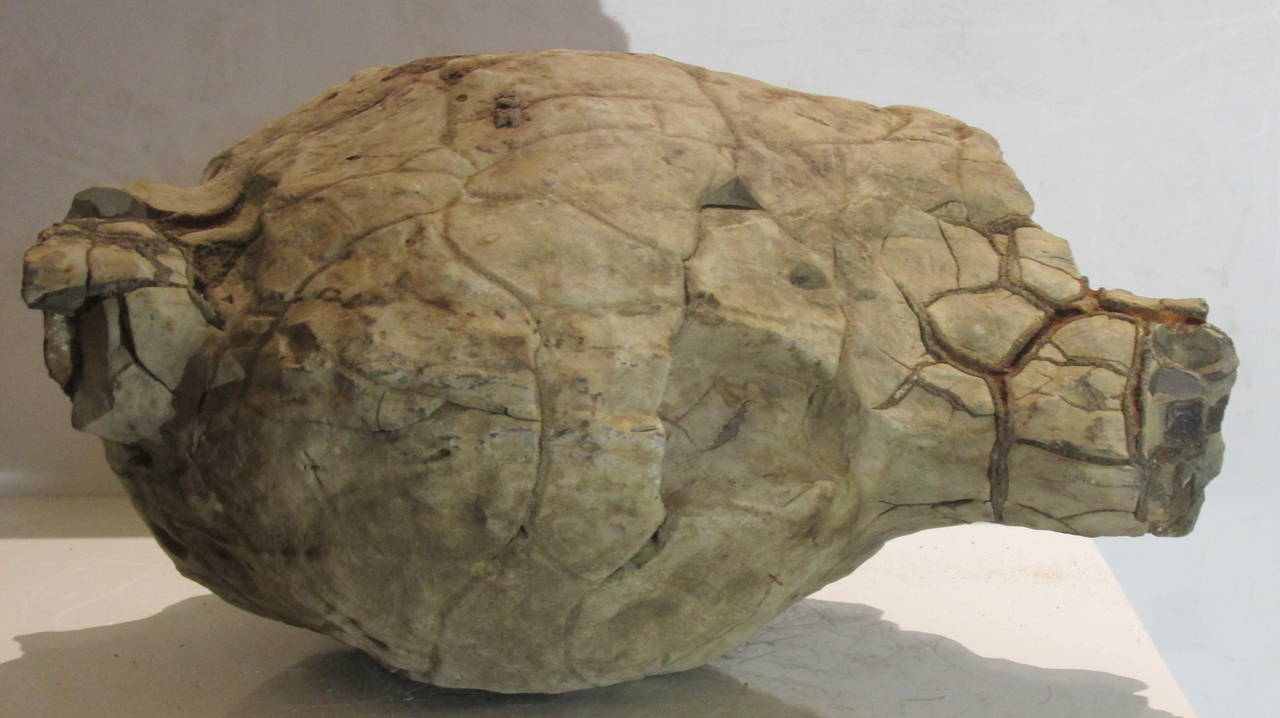 Skull Form Prehistoric Concretion Fossil For Sale at 1stDibs