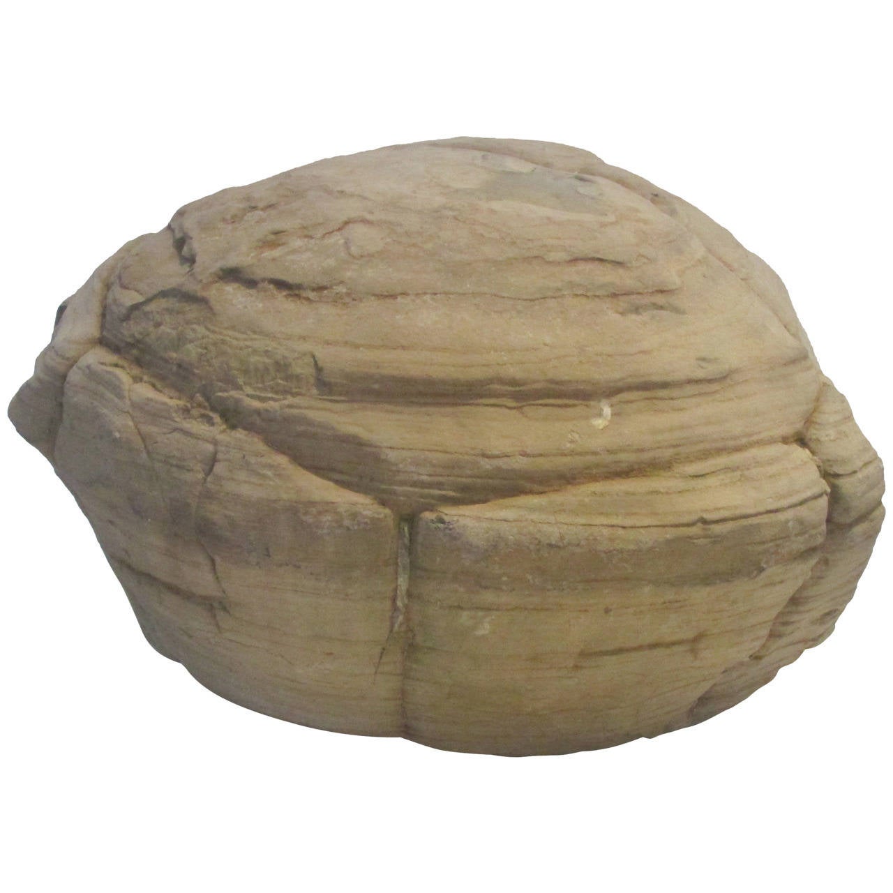 Prehistoric Turtle Stone Concretion Fossil at 1stDibs