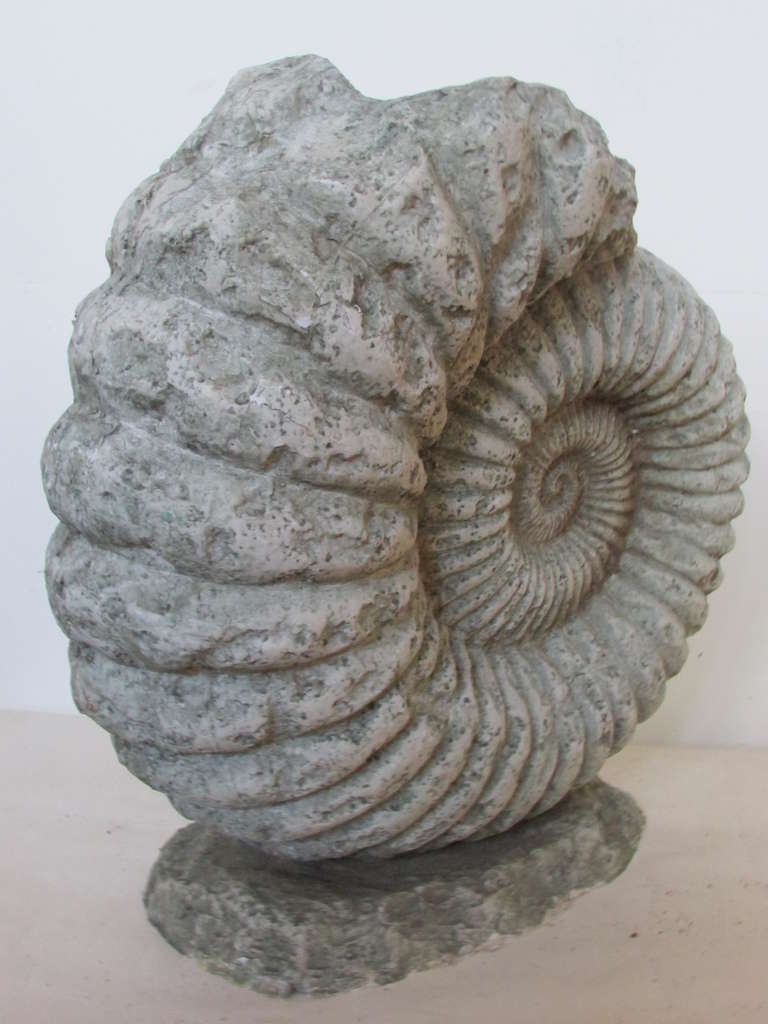 Giant Ammonite Nautilus Fiberglass Sculptures at 1stDibs | huge ...