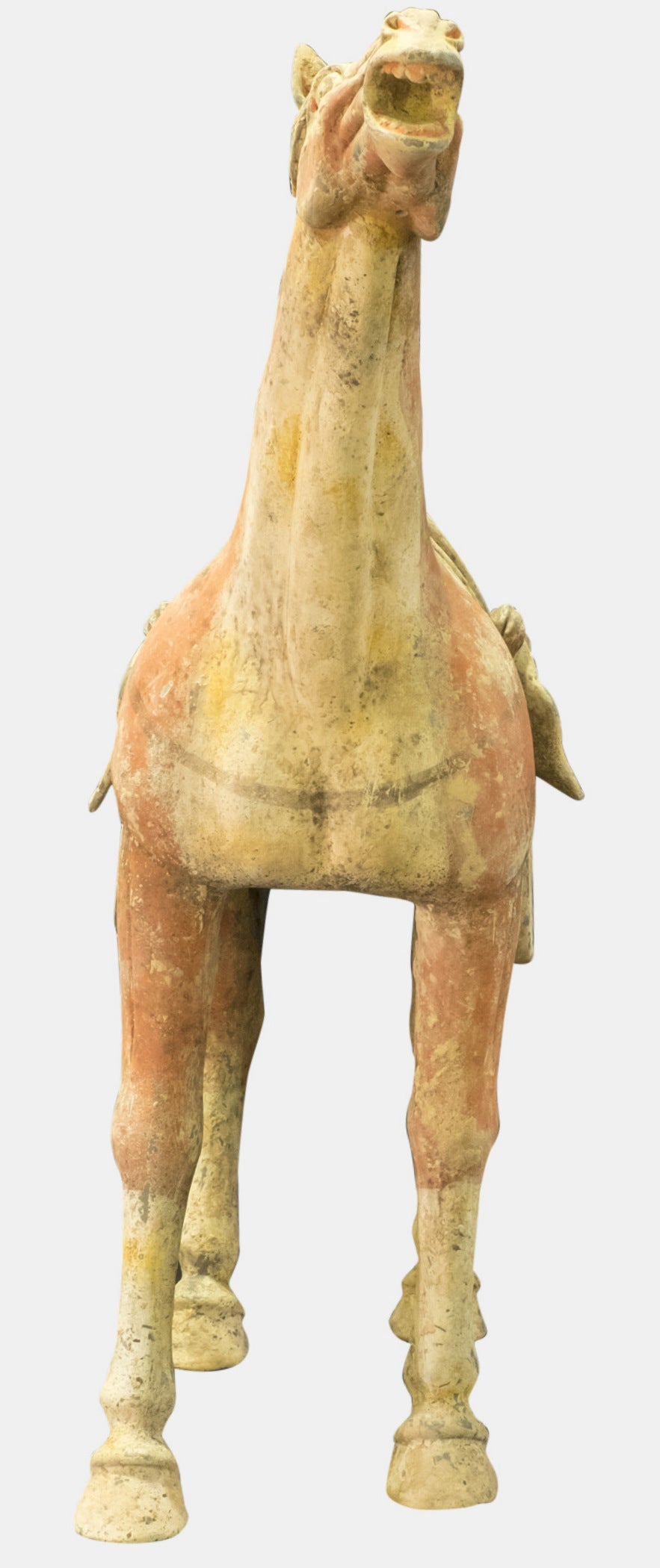 Pair of Chinese Horses, Tang Dynasty at 1stDibs