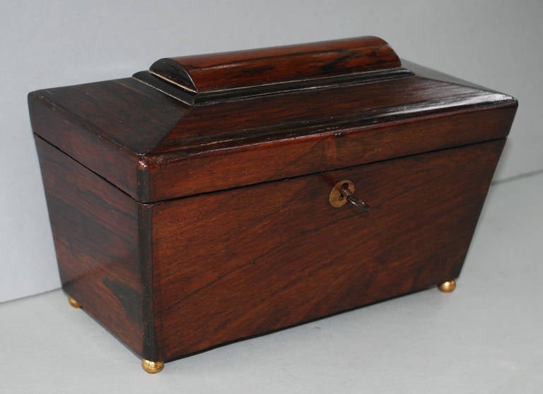 19th Century English Tea Caddy at 1stDibs