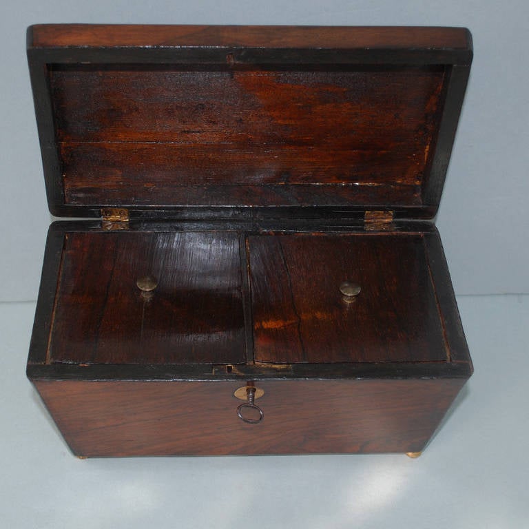 19th Century English Tea Caddy at 1stDibs