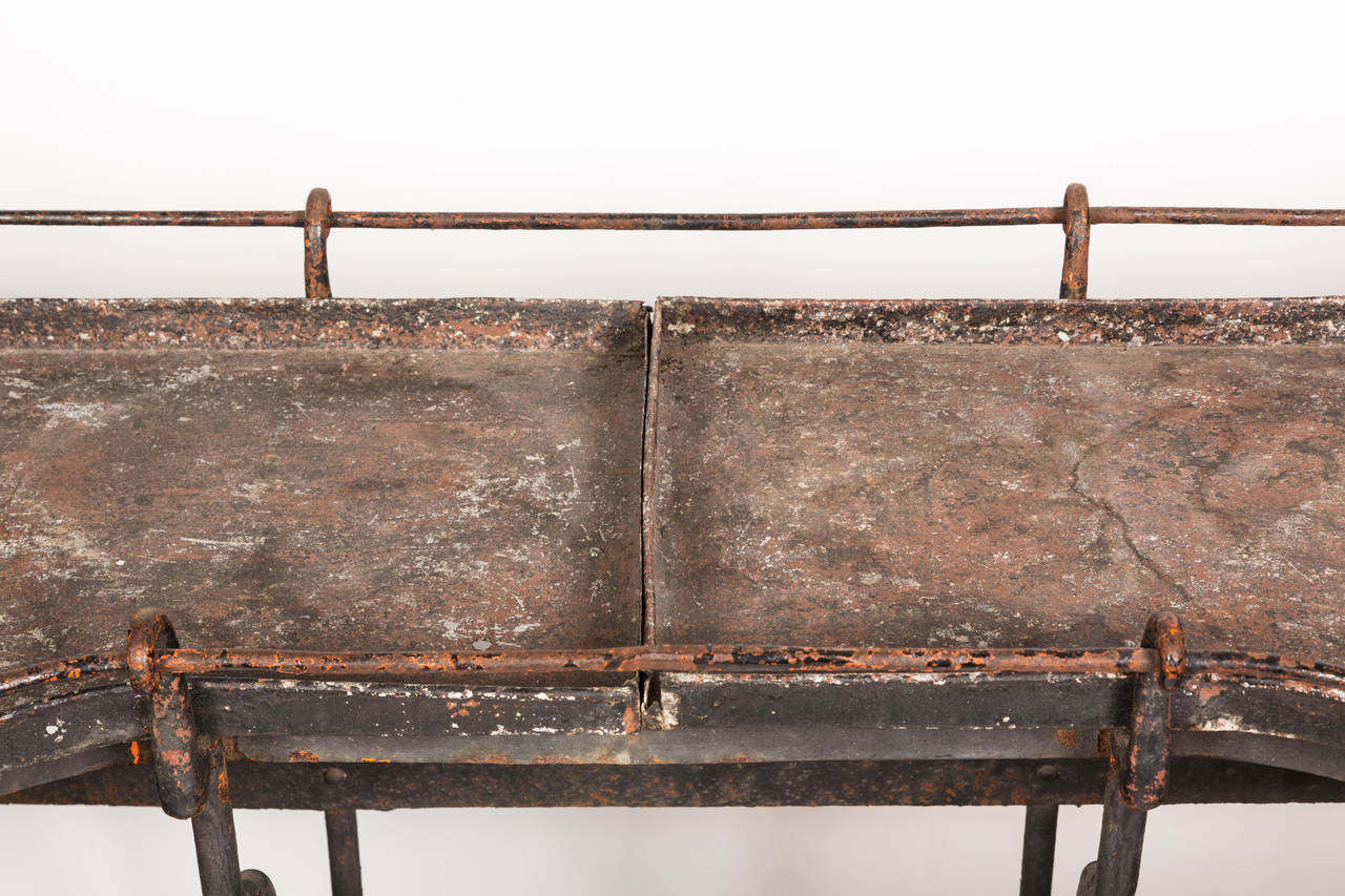Rare, 1860s Victorian Iron Orchid Table For Sale at 1stDibs