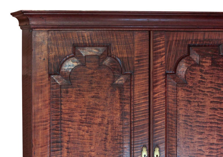 Late 1700s Tiger Maple Book Case Cabinet For Sale at 1stDibs