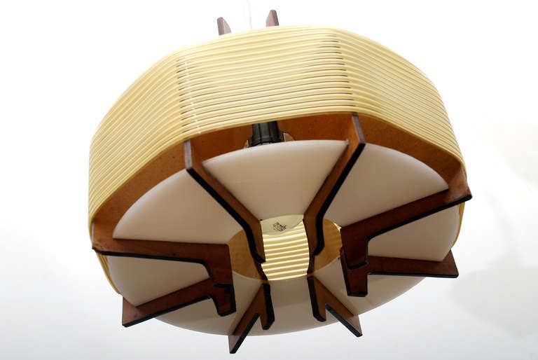 Rotoflex Heifetz Hanging Light Fixture at 1stDibs