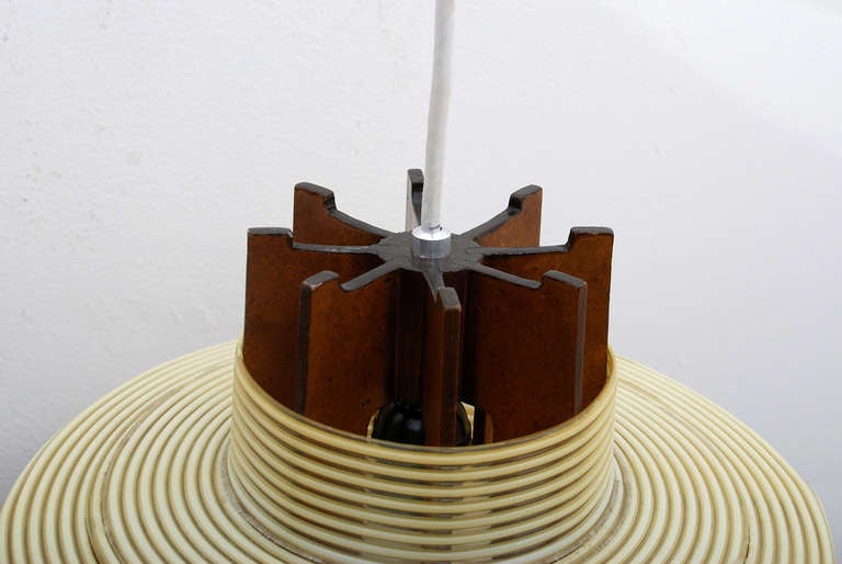 Rotoflex Heifetz Hanging Light Fixture at 1stDibs