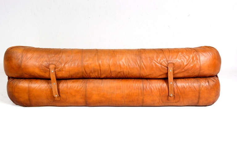 Amphibio Sofa by Alessandro Becchi at 1stDibs | anfibio sofa, anfibio ...
