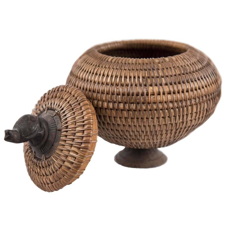 Northwestern Ovoid Vessel with Carved Turtle Finial at 1stDibs