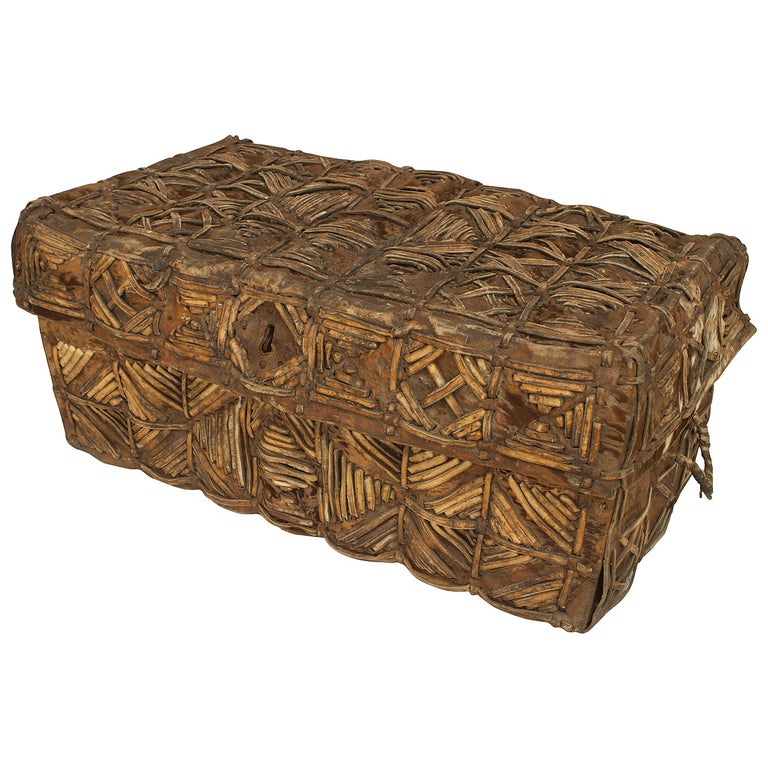 South American Cowhide and Leather Trunk For Sale at 1stDibs | cowhide ...