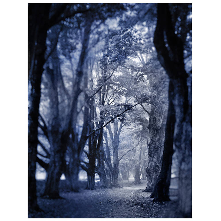 Kate Cordsen Indigo VIII, 2014 For Sale at 1stDibs