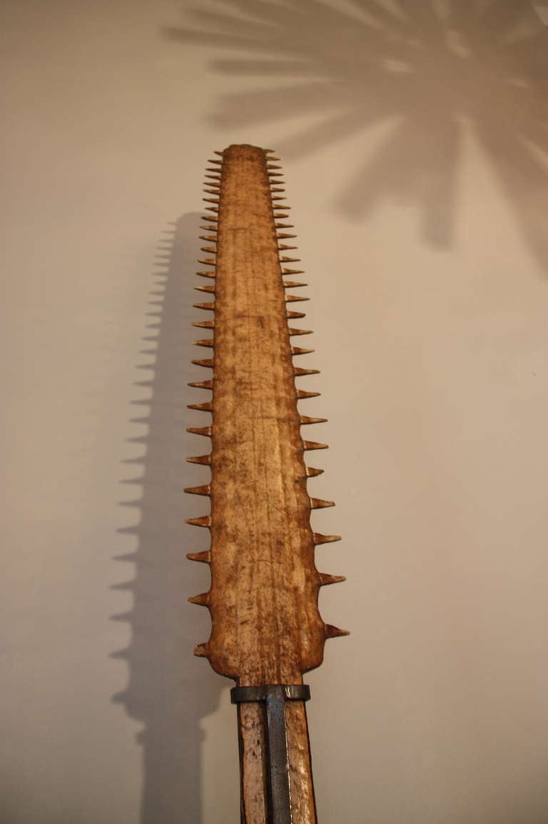 Antique Sawtooth Fish circa 1900 at 1stDibs