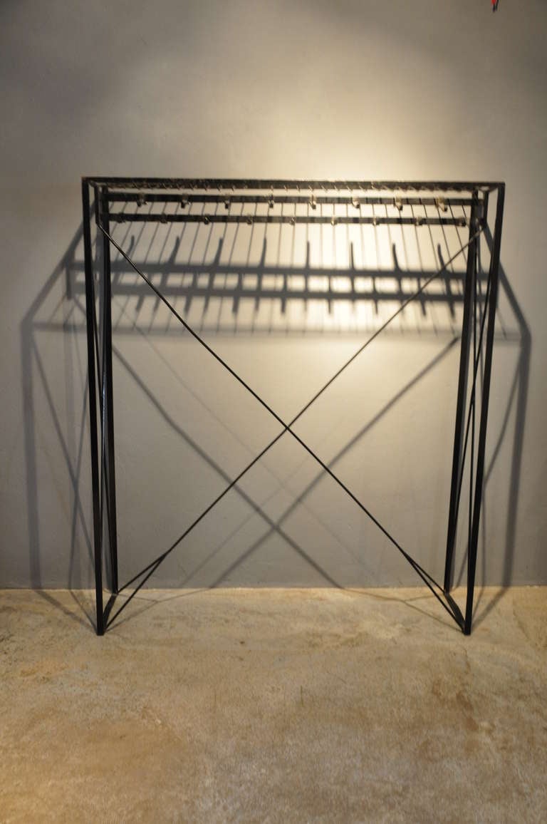 Wardrobe by Roland Rainer For Sale at 1stDibs