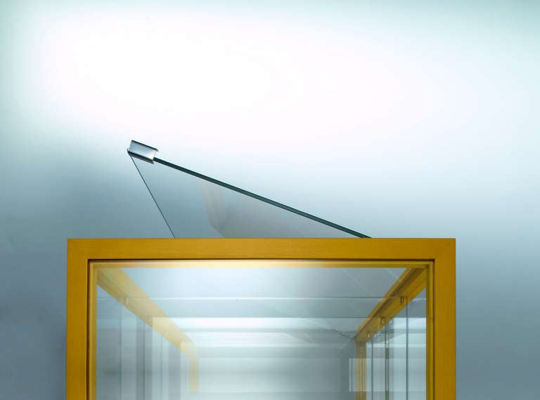 Ettore Sottsass Display Case For Sale at 1stDibs