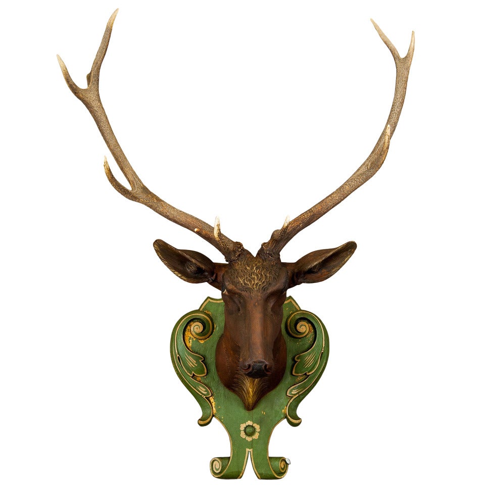 antique carved wood stag head with huge antlers ca. 1905 at 1stDibs