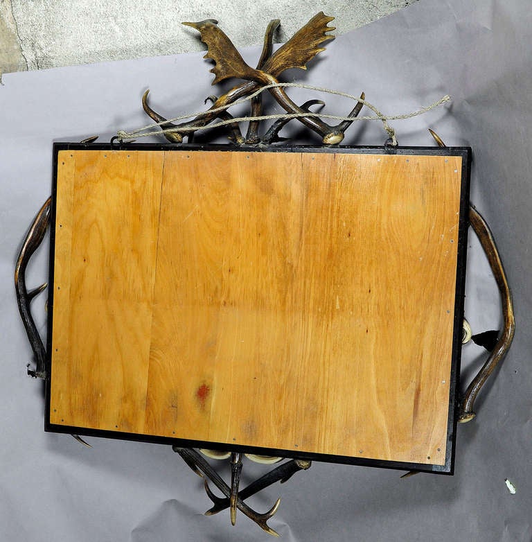 Large Black Forest Antler Picture Frame 1870 at 1stDibs | antler frame ...