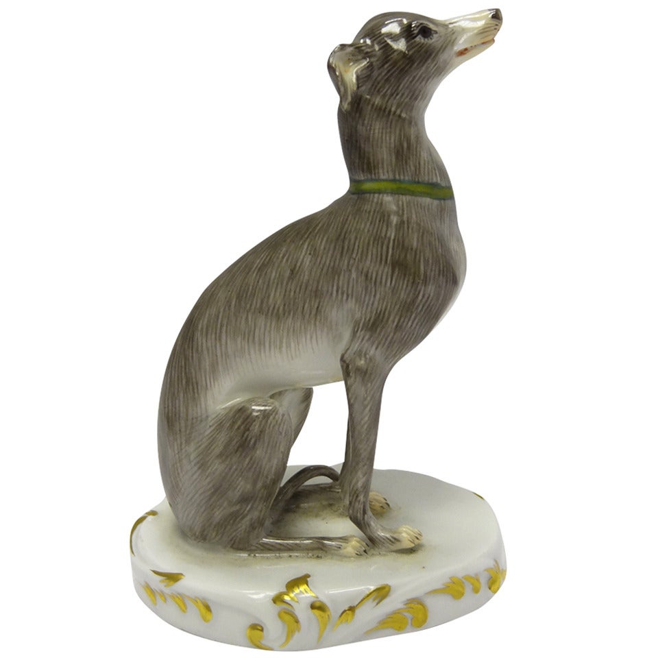 Meissen Porcelain Seated Italian Greyhound at 1stDibs