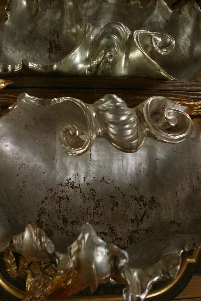 19th C. Italian Rare And Fabulous Clam Shell Mirror For Sale at 1stDibs