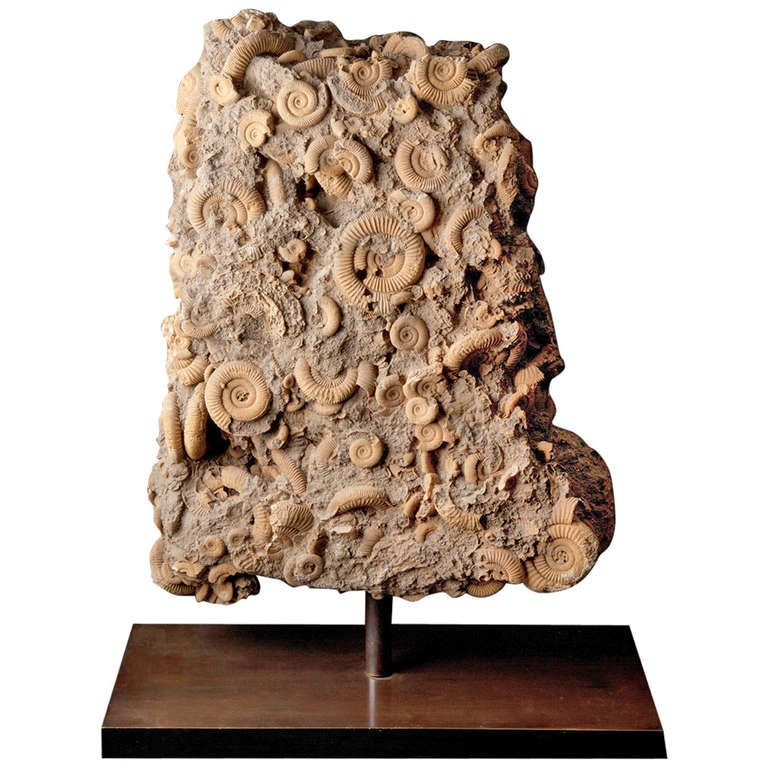 Bronze Mounted Ammonite Cluster at 1stDibs