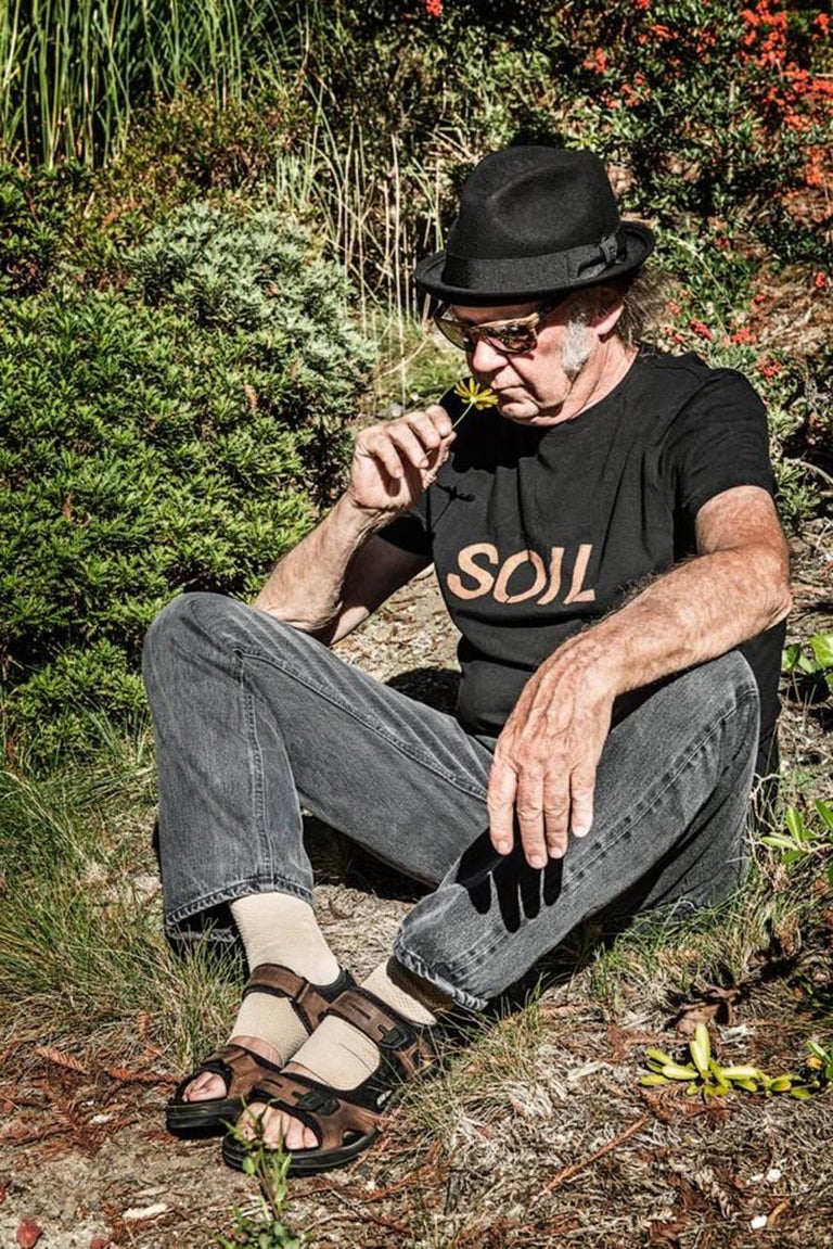 Jay Blakesberg - Neil Young, Shoreline Amphitheater, Mountain View, CA ...