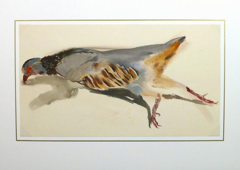 Unknown - Vintage French Gouache - Game Bird Specimen For Sale at 1stDibs
