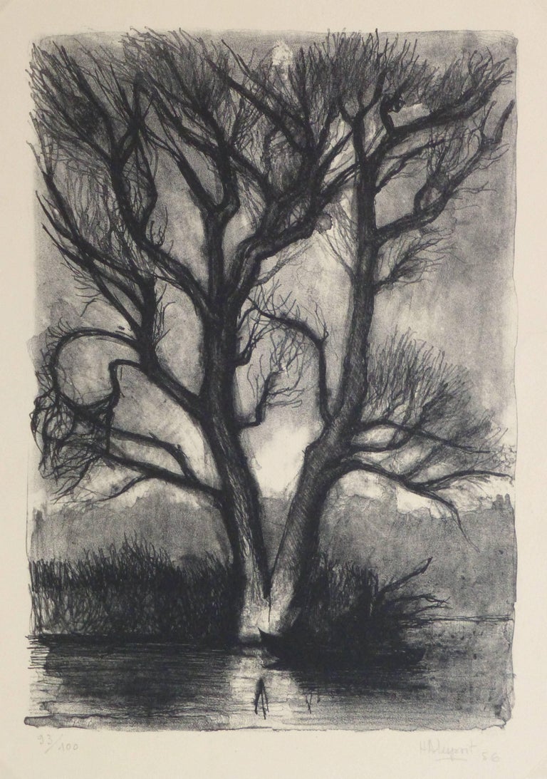 Henri Alain Lesprit - Landscape Tree by a Lake - Stately Splendor at ...
