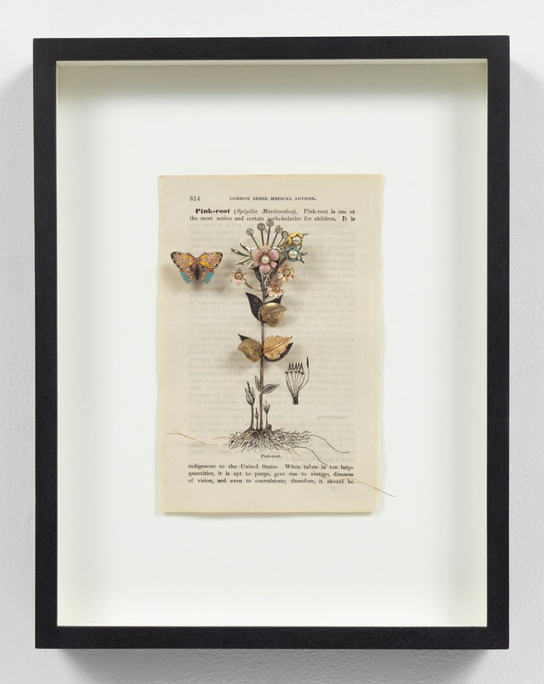 Eric Rhein - Medicinal Garden Series: Pink Root For Sale at 1stDibs