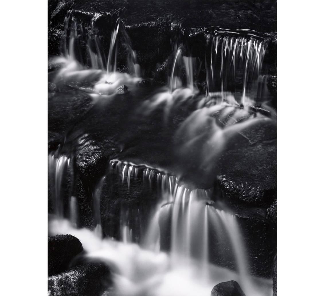 Ansel Adams - Fern Spring, Dusk, Yosemite Valley at 1stDibs | ansel ...
